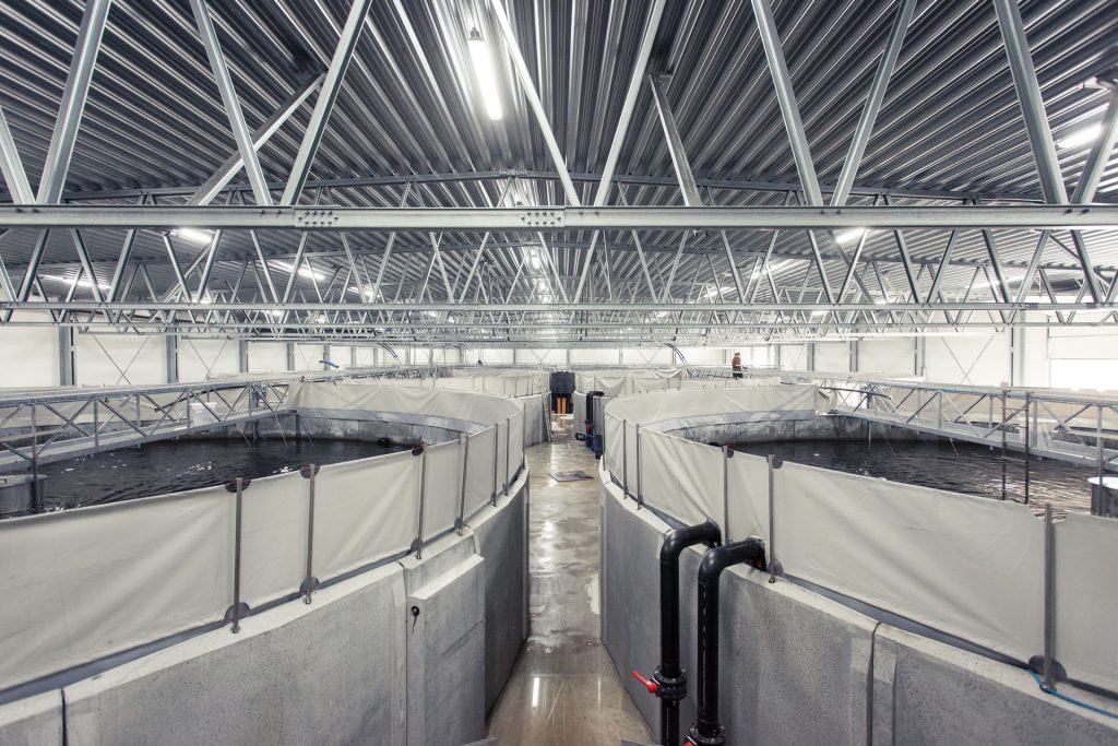 Danish Salmon - ASC certified salmon and a climate-friendly choice